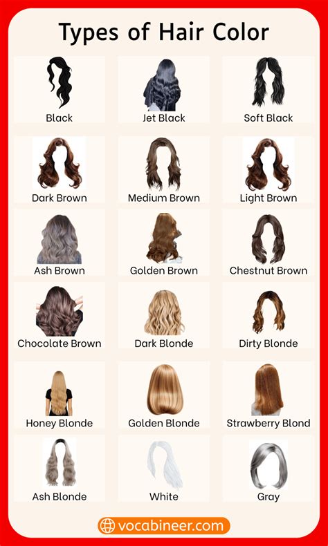 Types Of Hair Colors With Names And Pictures