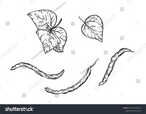 Hand Drawn Sketch Black White Illustration Stock Vector Royalty Free