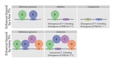 Schematic Representation Of The Relationship Between Sequence Download Scientific Diagram