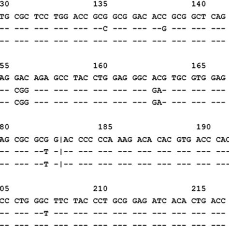 The Nucleotide Sequence A And The Amino Acid Sequence B Of Exon 3