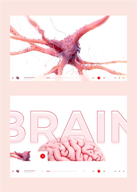 Web Concept On Behance