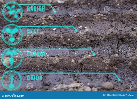 Smart Garden Farm Seed Beds And Hint What To Plant Or Map Of Plantings