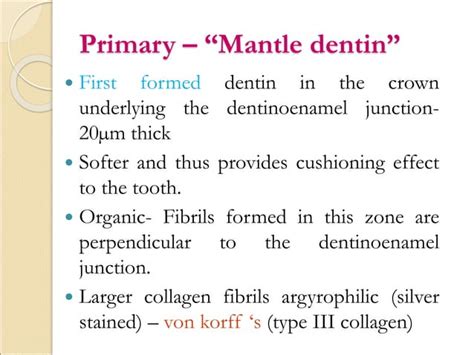 Bds First Year Dentin Presentation By Sdm D Ppt