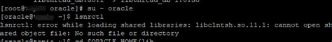 error while loading shared libraries libclntsh so 11 1 错误！ csdn社区