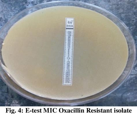 Figure 4 From Comparative Evaluation Of Mic By E Test And Cefoxitin Disc Diffusion For Detection