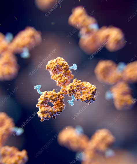 Antibody Drug Conjugate Illustration Stock Image F0433629