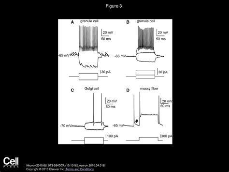 Volume Issue Pages May Ppt Download