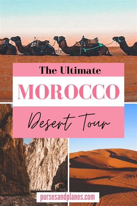The Ultimate Sahara Desert Guided Tour Artofit