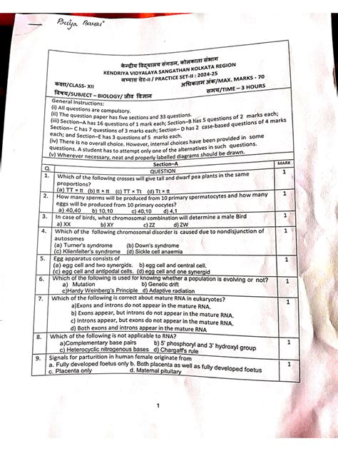 sample paper 2 pdf