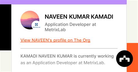Naveen Kumar Kamadi Application Developer At Metrixlab The Org