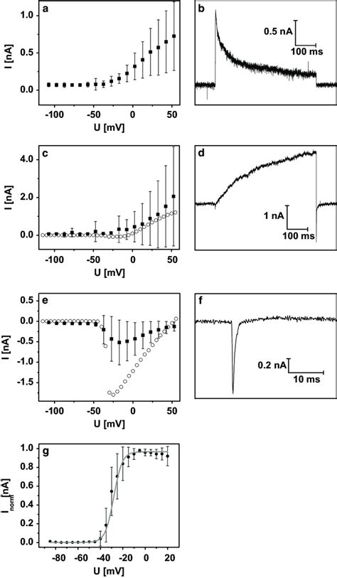 Automated Patch Clamp Experiments In Qpatch Measurements Three Download Scientific Diagram