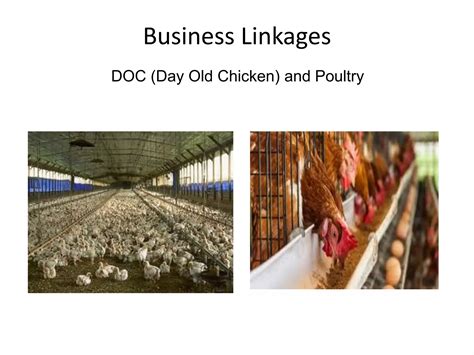 Value Chain Of Corn In Indonesia Based Of Secondary Data Pdf