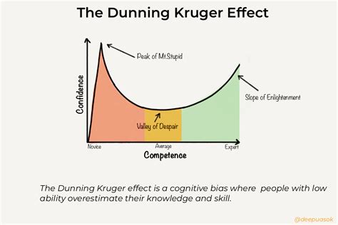 The Dunning Kruger Effect The Taste Skill Gap And Knowledge Organization