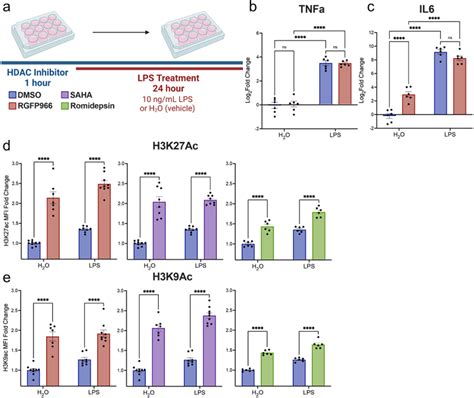 Histone Deacetylase 3 Regulates Microglial Function Through Histone