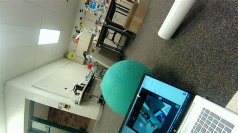 Frc 2025 Algae Object Detection Dataset By 422 Programming