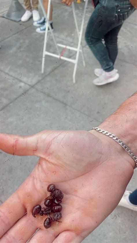 Maximo Garcia On Twitter My Daily Breakfast Https T Co Irv Y R Tc Twitter