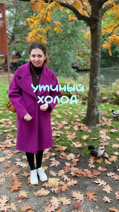 «Холодно по французски французский выражения урокфранцузского французскийонлайн Youtube