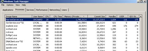 Vmware Vmmap Why Is Committed Memory 134gb For One Exe Working