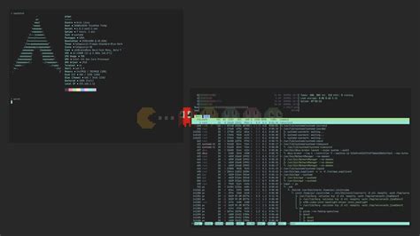 [suckless 2wm] R Unixporn