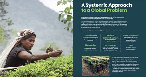 How To Create A Nonprofit Impact Report That Inspires 3 Examples