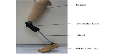 Lower Limb Prosthesis Components [82] Download Scientific Diagram