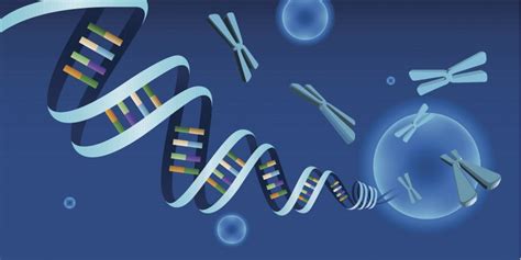 Formes Graves De Covid 19 Une Composante Génétique Et Immunologique