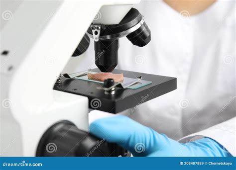 Scientist Inspecting Meat Sample With Microscope In Laboratory Closeup