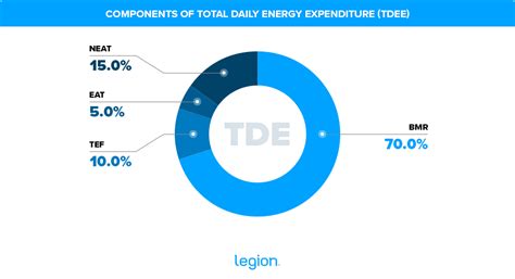 Tdee Calculator Calculate Total Daily Energy Expenditure Ihealthy Care