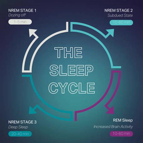 Understanding The Benefits Of Each Stage Of Sleep — Sleep Efficiency