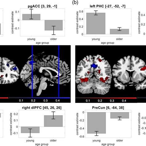 Age‐related Differences In The Human Memory Network Using Our Fmri