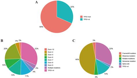 Tp53 Mutation Profiles Of Nsclc Patients A Frequency Of Tp53 Download Scientific Diagram