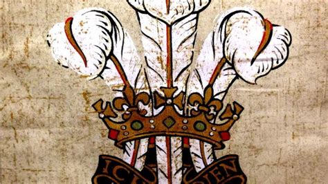 Prince Of Waless Feathers