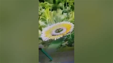 Hachubby Livestreaming In Bali 🇮🇩 Youtube