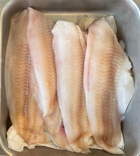 Flounder Fillet