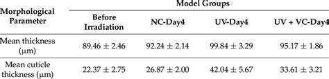 Morphological Changes In Each Group Of AS Before And After UV Irradiation Download Scientific