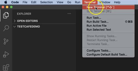 chapter 2 1 install nodejs vs code and testcafe on macos