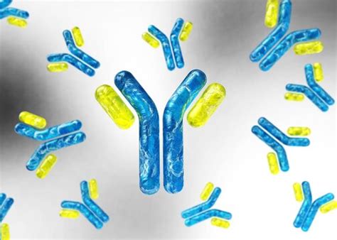 Plasmocyte Bilder Bläddra Bland 601 Stockfoton Vektorer Och Videor Adobe Stock