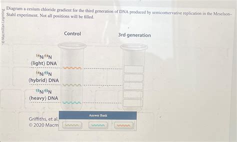 Solved Diagram A Cesium Chloride Gradient For The Third