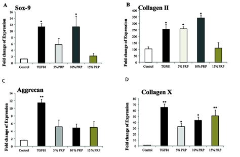 Day 14 Reverse Transcriptase Polymerase Chain Reaction For Different