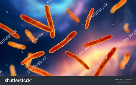 Bacteria Mycobacterium Bovis 3d Illustration Causative Stock Illustration 2235211903 Shutterstock