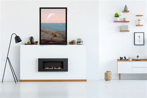 Cassandra Jenkins An Overview On Phenomenal Nature Signed Poster With