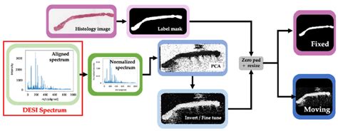 Full Preprocessing Pipeline Top Row Demonstrates The Steps For
