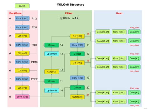 主干网络篇 yolov8更换主干网络之shufflenetv2（包括完整代码 添加步骤 网络结构图）