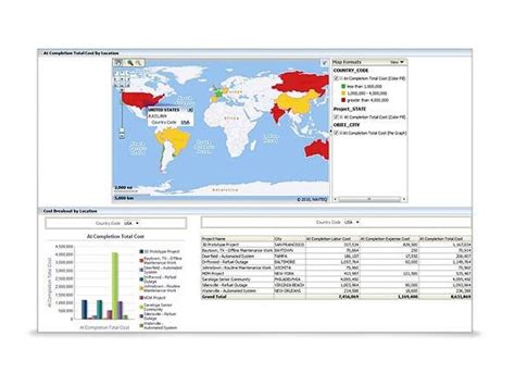 Primavera P6 Analytics App Consultoria