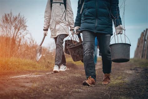 Planting New Trees With Gardening Tools In Green Park Stock Photo Image Of Equipment Ecology