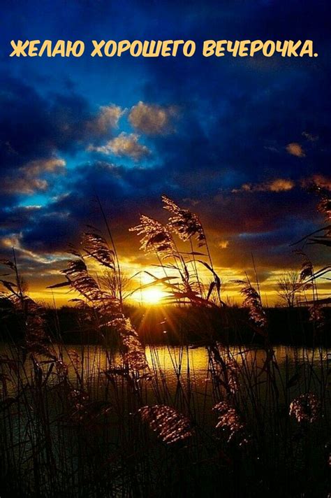 Картинки с надписью Желаю хорошего вечерочка