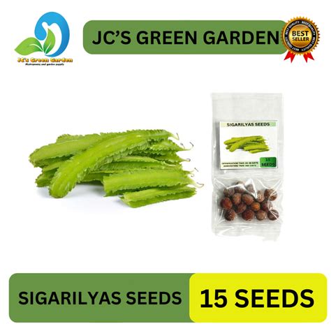 15 Seeds Sigarilyas Seeds For Planting High Yielding Shopee Philippines