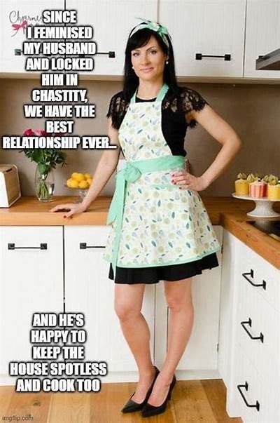 Housewife Attire Housewife Apron Malewife Apron Feminized Husbands