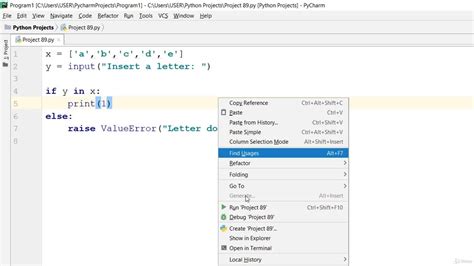Raise Python