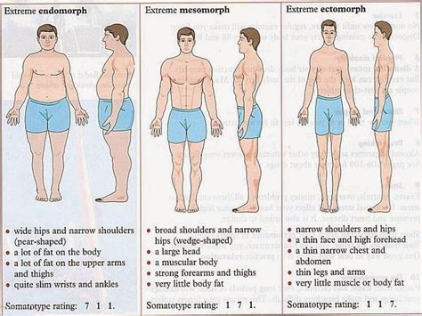 Move To Live Live To Move Feed Your Work Out Body Type And Sports Science